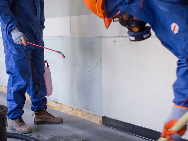 Why Asbestos Removal Isn’t a DIY Job (And What to Do Instead) - Deskgram